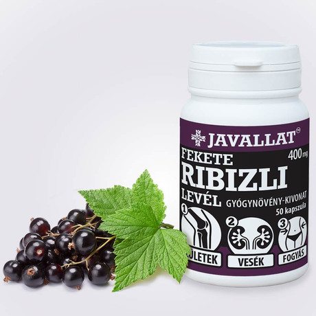 Fekete ribizli levél kapszula - teljes értékű gyógynövény-kivonat
